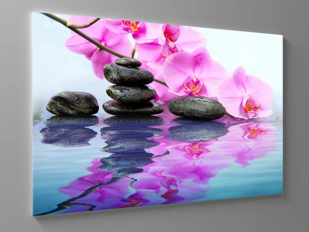 Liox Obraz orchidej a kameny Rozměr: 60 x 40 cm