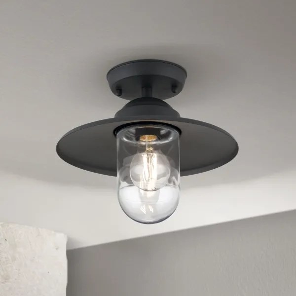 Orion AL 11-1317 - Venkovní přisazený lustr EDWARD 1xE27/60W/230V IP44 antracit