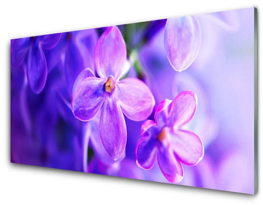 Plexisklo-obraz Fialové Květiny Příroda 100x50 cm