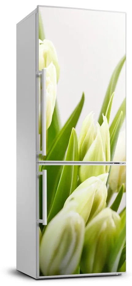 Wallmuralia Fototapeta nálepka na ledničku Tulipány 60x180 cm