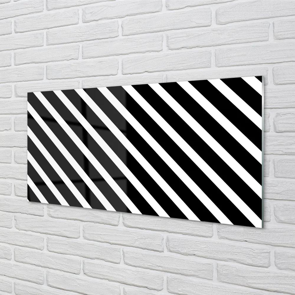 akrylový obraz zebra pruhy 140x70 cm