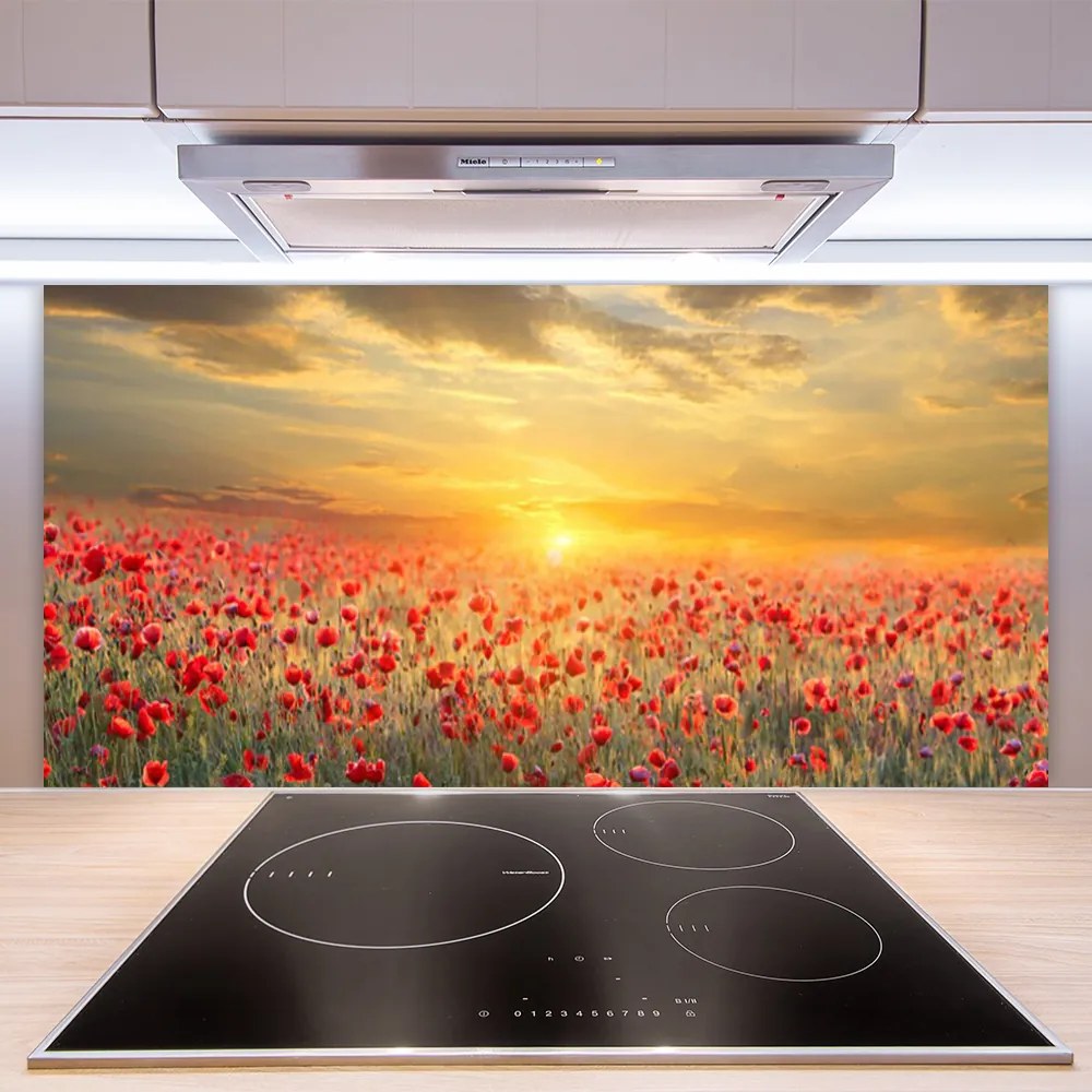 Skleněné obklady do kuchyně Slunce Louka Mák Květiny 125x50 cm