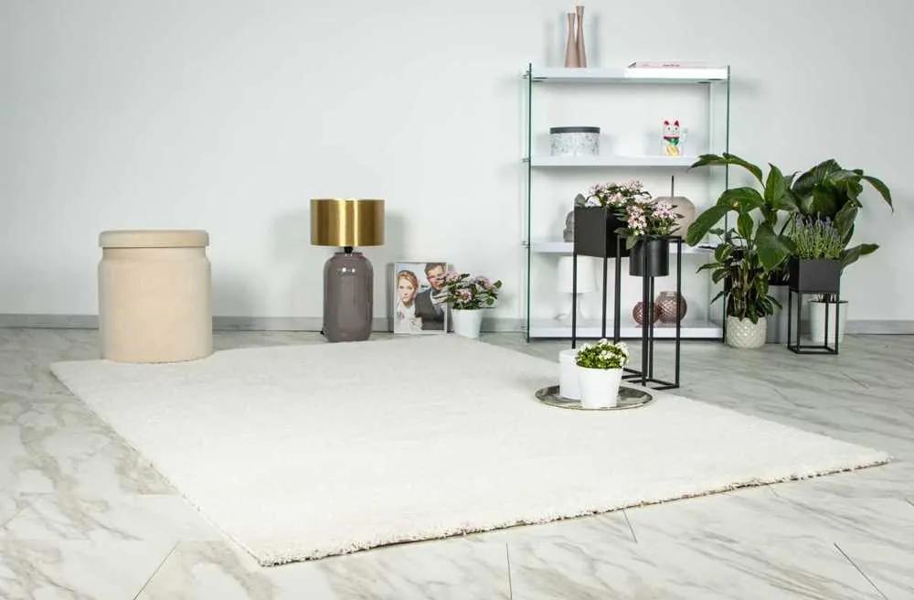 Lalee Kusový koberec Dream 500 Ivory Rozměr koberce: 200 x 290 cm