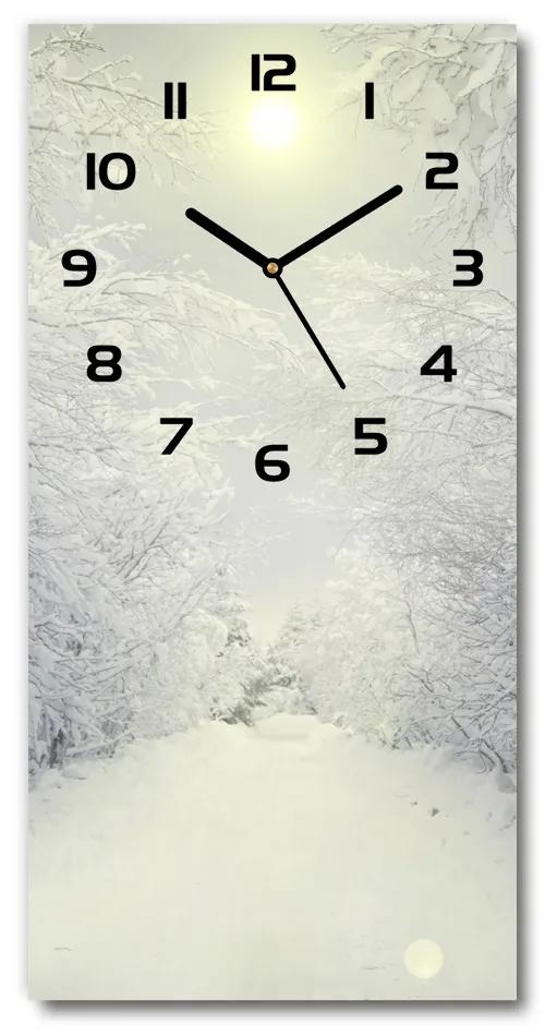 Wallmuralia Moderní hodiny nástěnné Les zima 30x60 cm