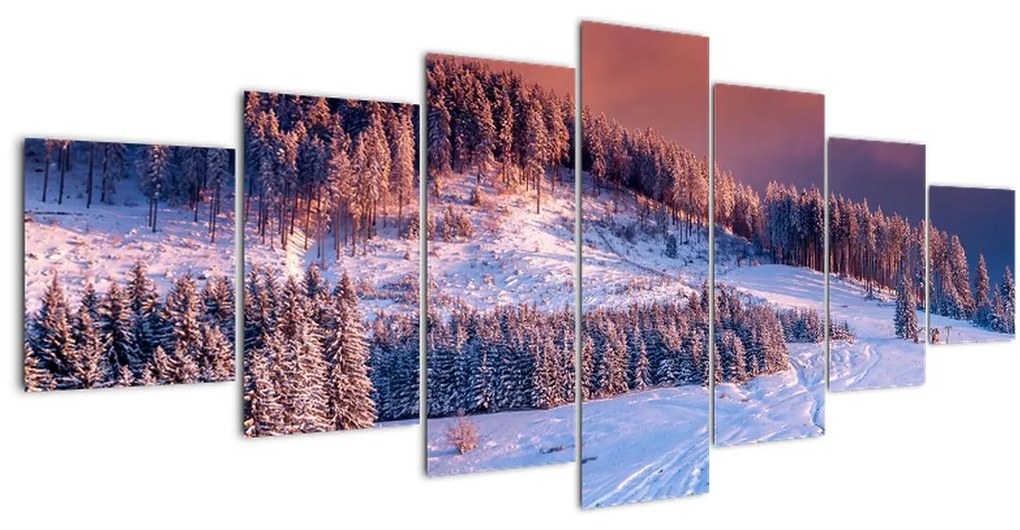 Obraz zimní krajiny (210x100 cm)