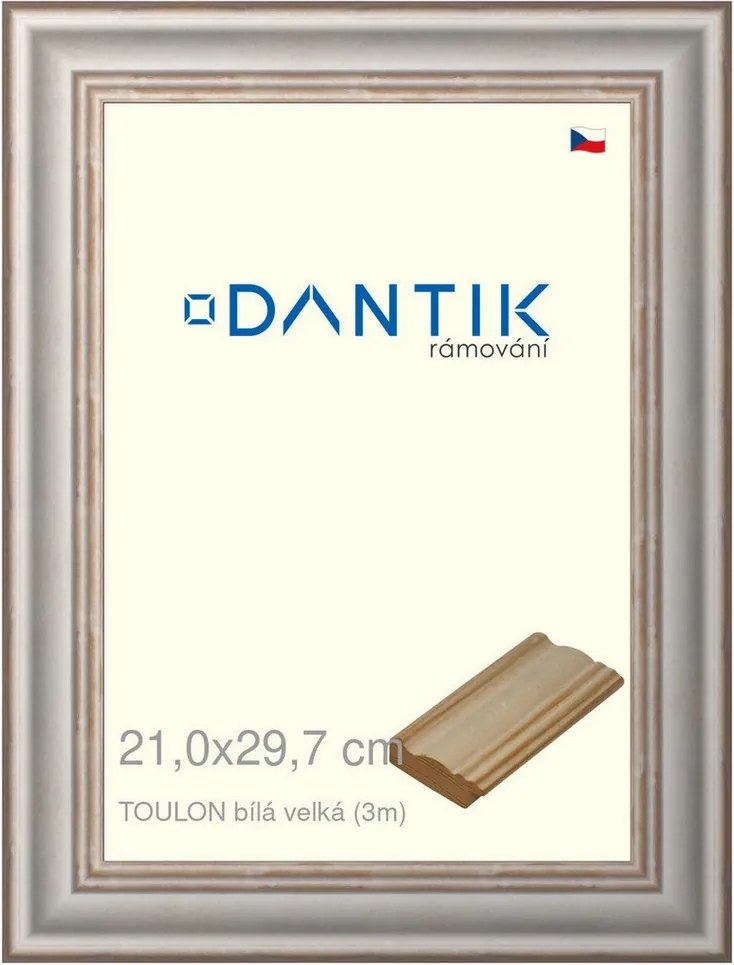DANTIK rámeček 21x29,7 | TOULON bílá velká (Sklo Čiré)