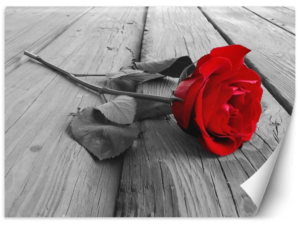Fototapeta, Červené květy růží Retro - 150x105 cm