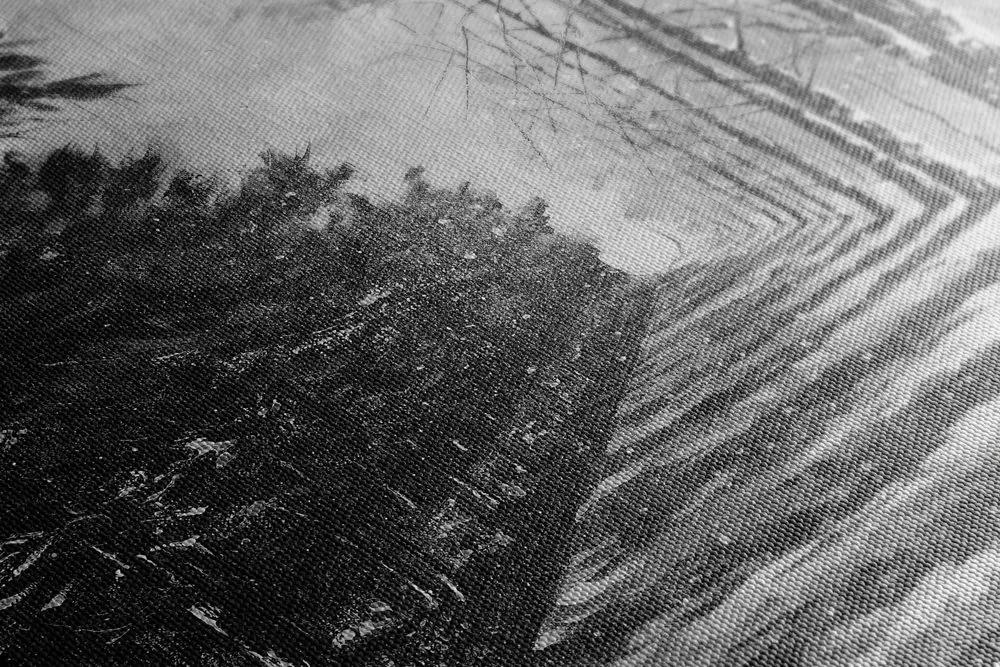 Obraz podzimní alej stromů v černobílém provedení Varianta: 120x80