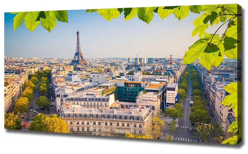 Wallmuralia Foto obraz canvas Paříž 120x60 cm