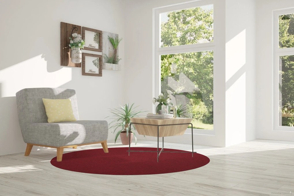 Vopi, Kusový koberec Astra červená kruh, 80x80 (průměr) kruh, červená, chodba / předsíň