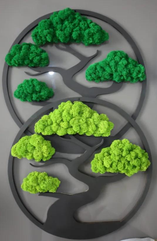 OznTo Nástěnný strom ve tvaru bonsaje více druhů,3velikosti Barva mechu: středně zelený, Barva rámečku: Bílá, Rozměr rámečku: Průměr 40cm