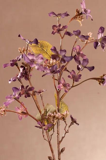 Paramit DRY TUNG FLOWER Aranžovací květina fialová 63 cm