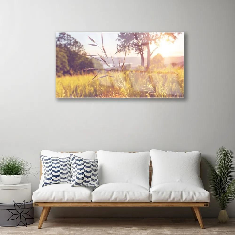 Obraz na skle Louka Tráva Strom Příroda 100x50 cm