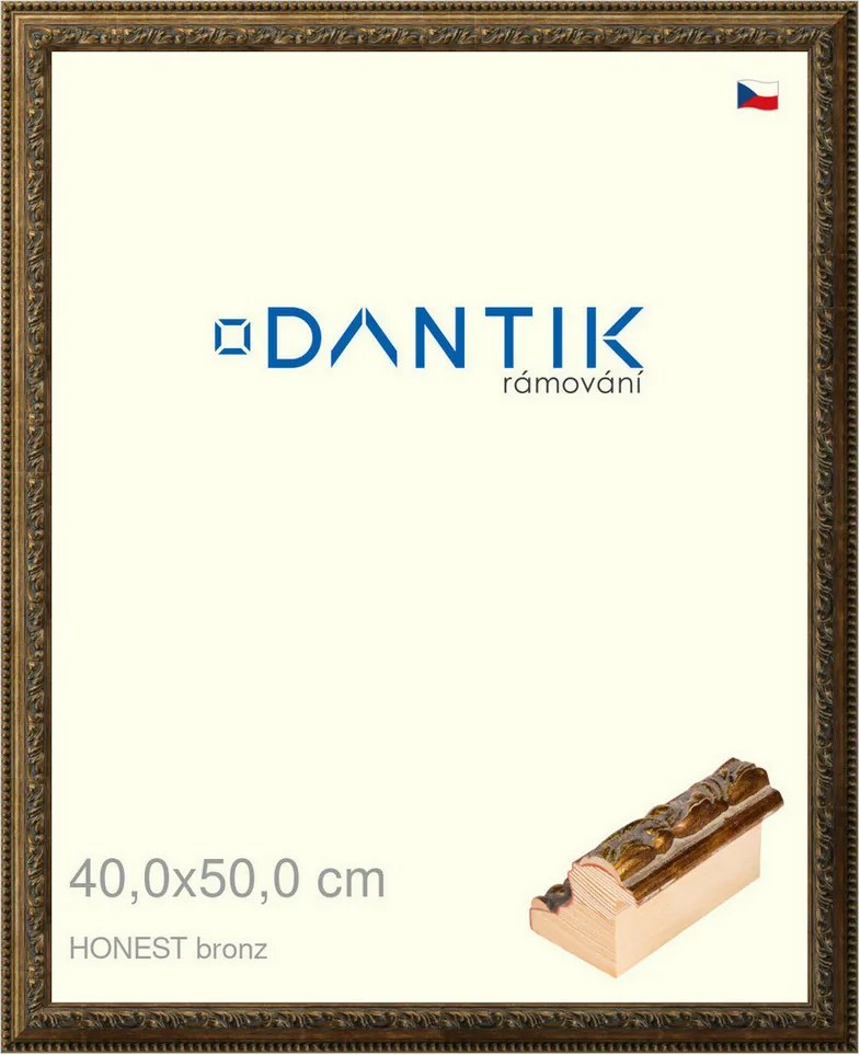 DANTIK rámeček 40x50 | HONEST malá vysoká bronz (Sklo Čiré)