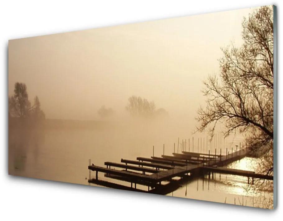 Obraz na skle Most Voda Mlha Krajina 125x50 cm