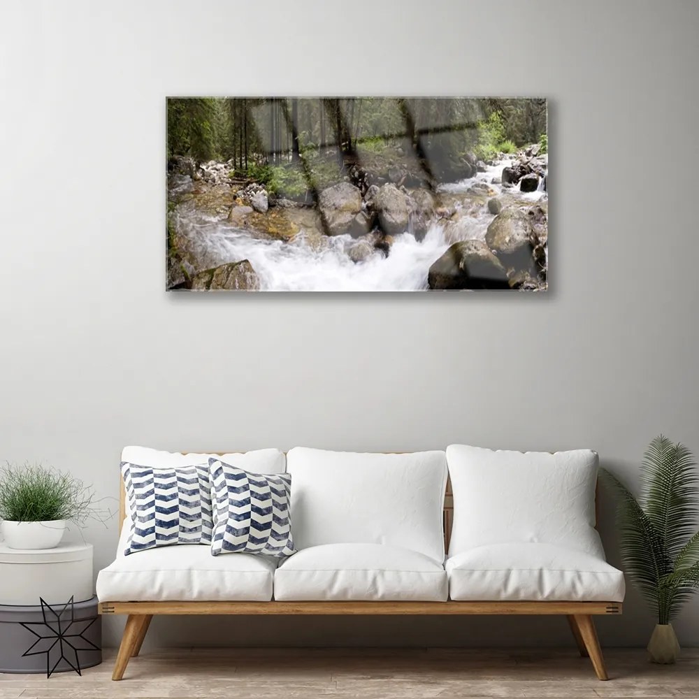 Obraz na skle Les Řeka Vodopády 125x50 cm