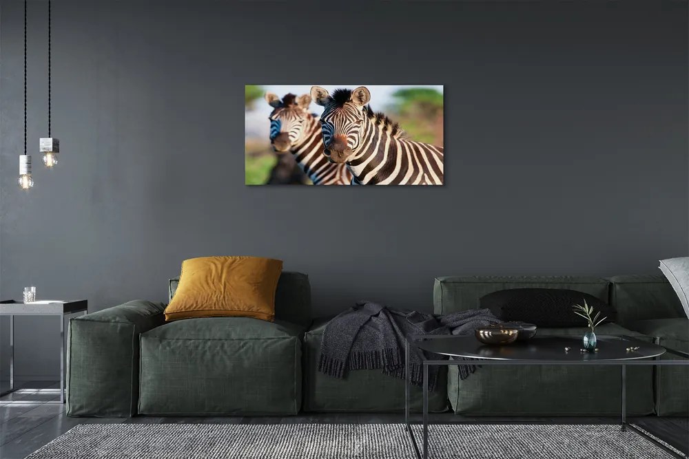 Obrazy na plátně zebra 140x70 cm