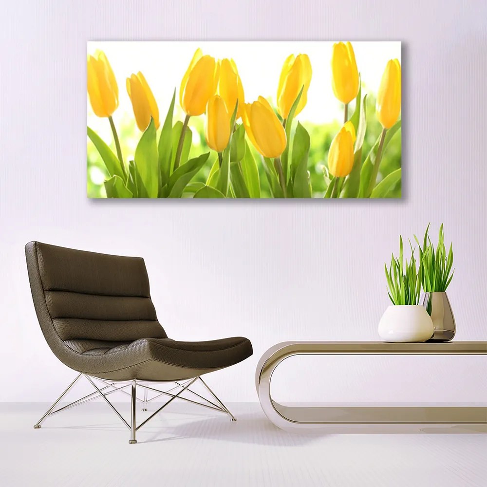 akrylový obraz Tulipány Květiny Rostlina 120x60 cm