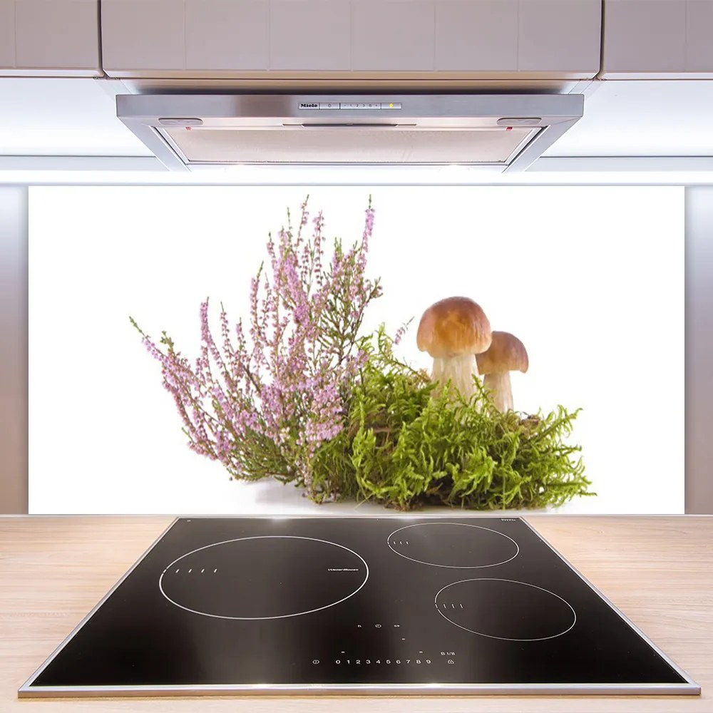 Skleněné obklady do kuchyně Houby Rostlina Příroda 100x50 cm