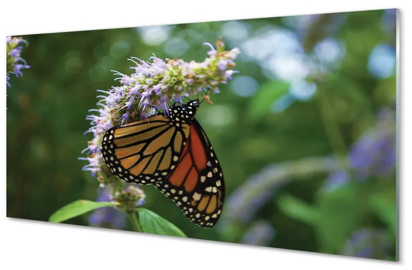 Obraz na skle Květ barevný motýl 140x70 cm
