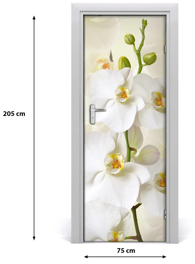 Fototapeta na dveře Bílá orchidej 75x205 cm