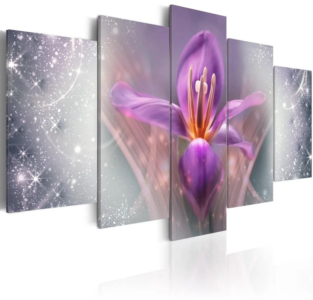 Obraz fialový květ + háčky, hřebíčky ZDARMA Velikost (šířka x výška): 200x100 cm