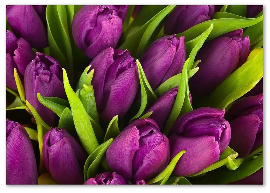 Wallmuralia Foto obraz akryl do obýváku Fialové tulipány 100x70