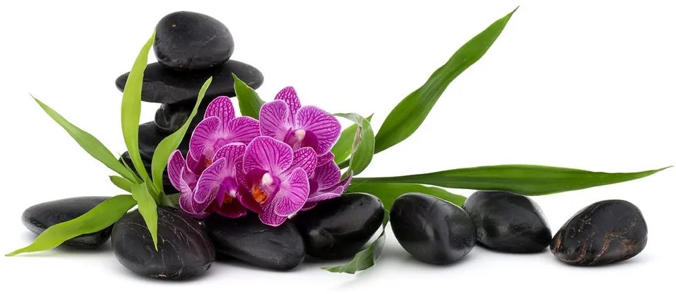 Samolepící tapeta fialová orchidej v Zen zátiší