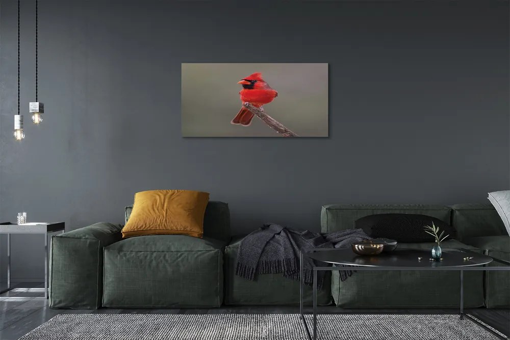 Obrazy na plátně Red papoušek na větvi 120x60 cm