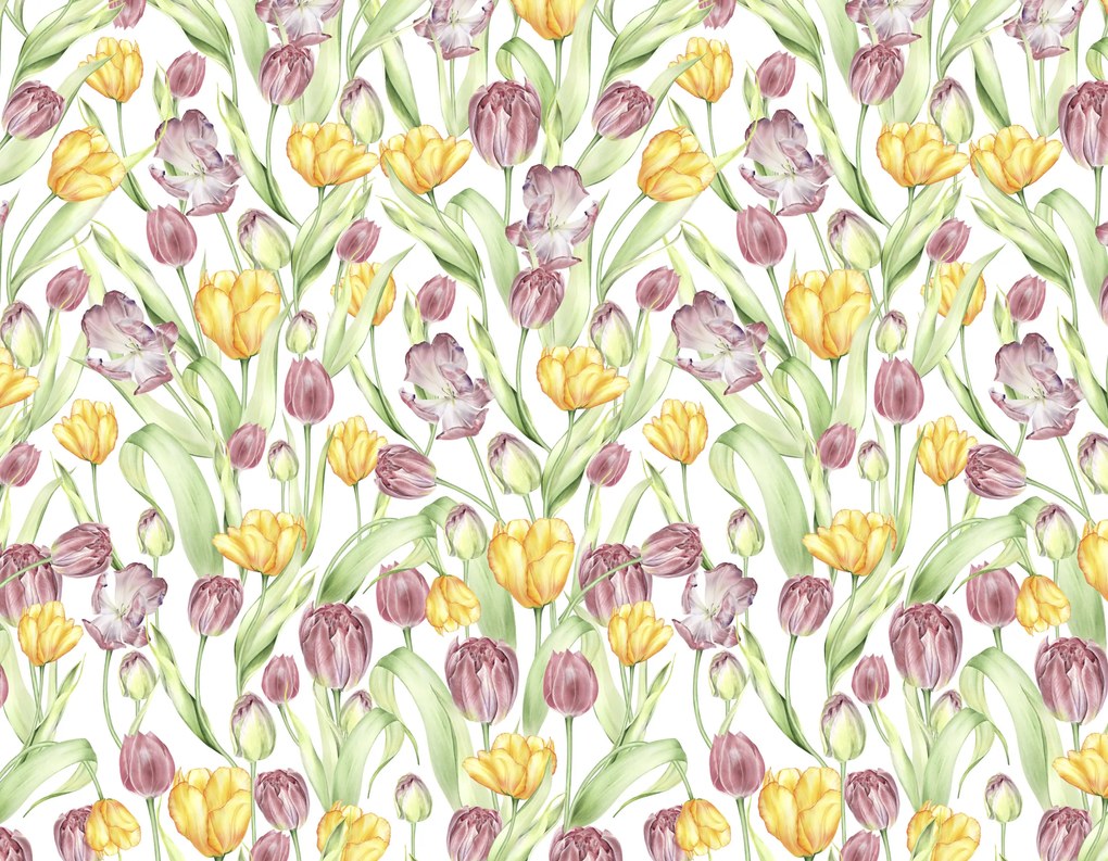 Bavlněný povlak na polštář Tulipánové pole Velikost: 70 x 90