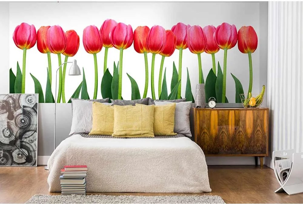 MP-2-0126 Vliesová obrazová panoramatická fototapeta Bed of Tulips, velikost 375 x 150 cm