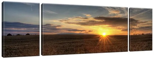 Tištěný obraz Západ slunce nad obilným polem 170x50cm 199A_3G