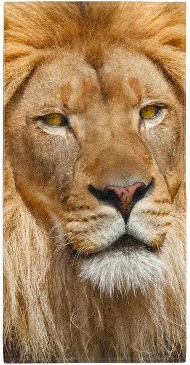 Osuška Lví pohled 70x140