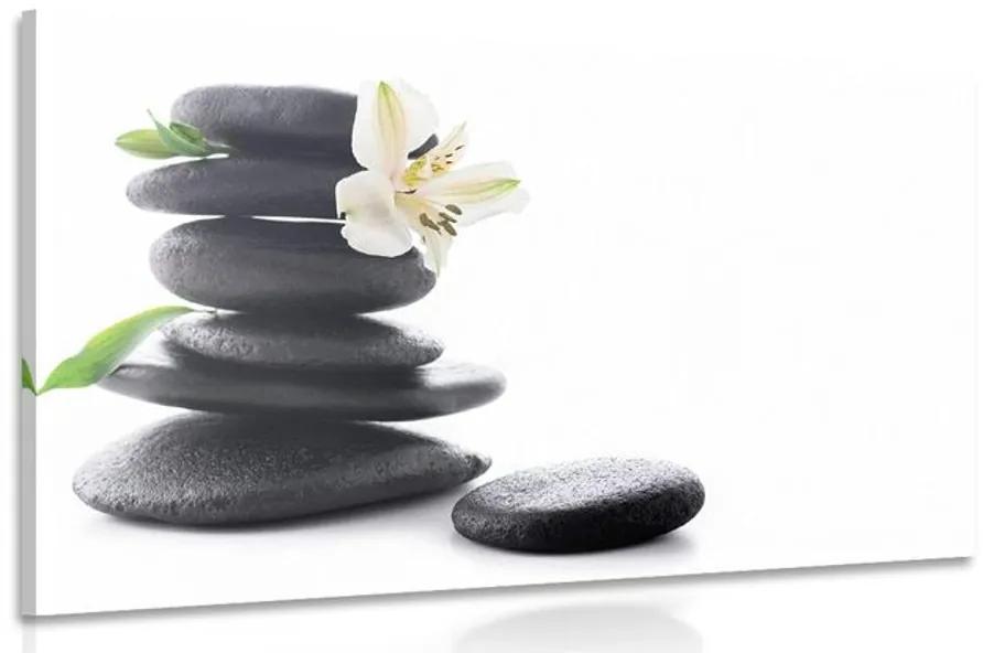 Obraz Zen kameny s lilií Varianta: 60x40
