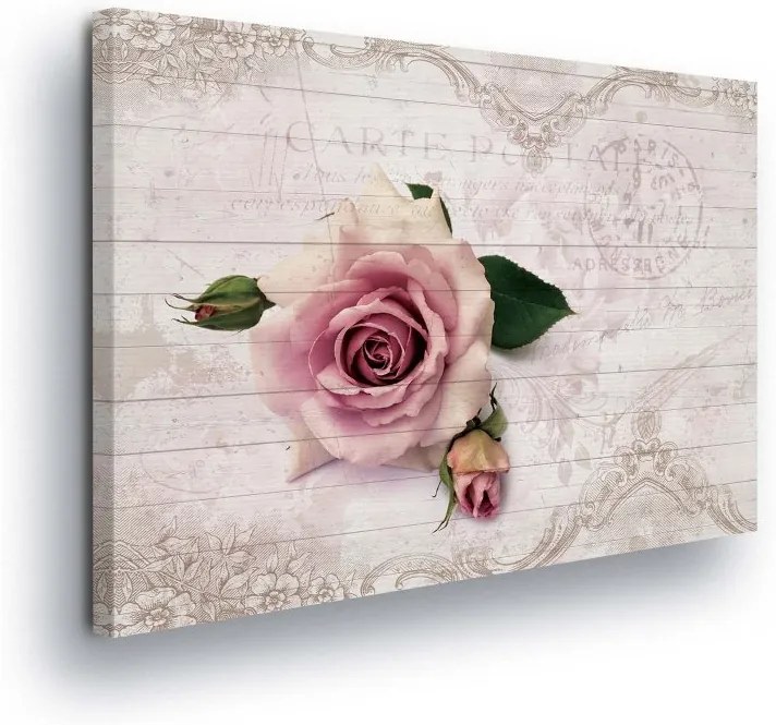 GLIX Obraz na plátně - Růžová Růže 100x75 cm