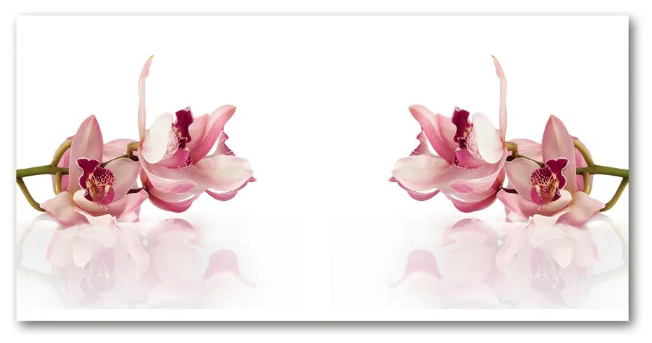 Wallmuralia Foto obraz akrylový na stěnu Orchidej 140x70 cm