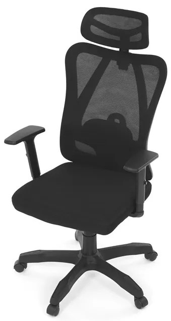 Ergonomická kancelářská židle ORVIN - černá síťovina Barva: černá
