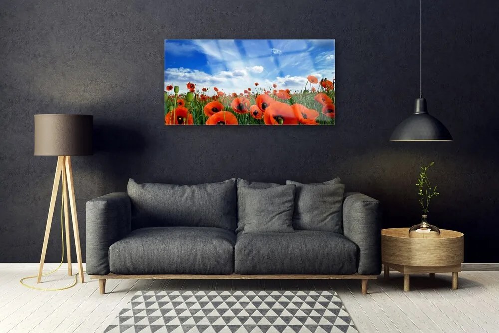 Plexisklo-obraz Louka Máky Květiny 100x50 cm