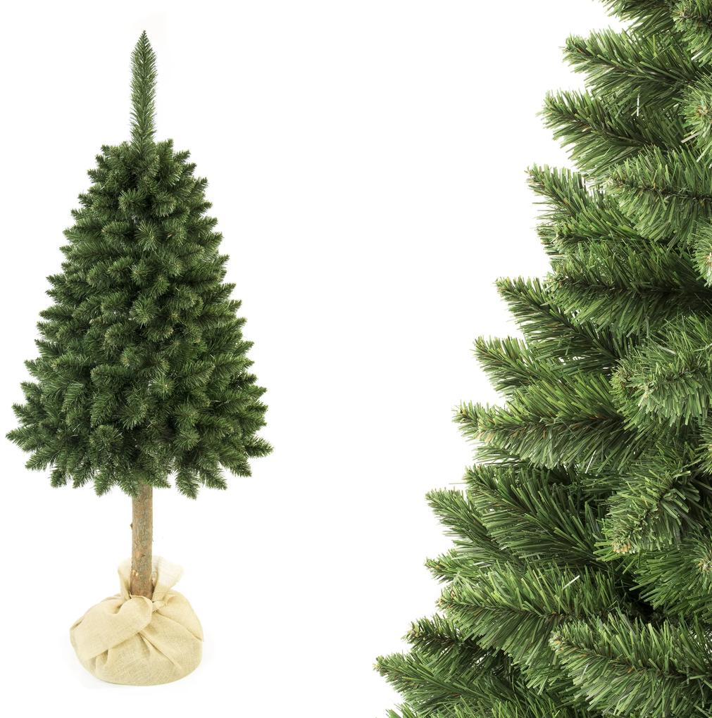 Vánoční stromek Borovice na pníku 180 cm