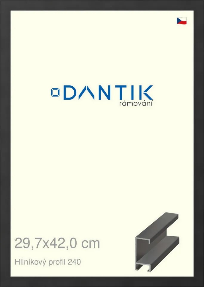 DANTIK rámeček 29,7x42 | ALU profil 6240 Černá matná (Plexi Čiré)
