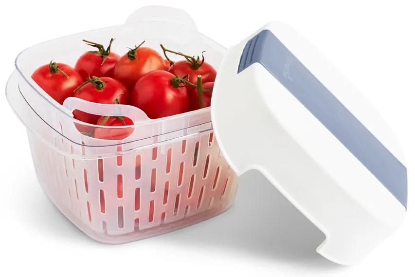 Rotho Speciální box na ovoce a zeleninu, s ventilací a filtrem, do lednice, Fridge Fresh,1,6l modrý