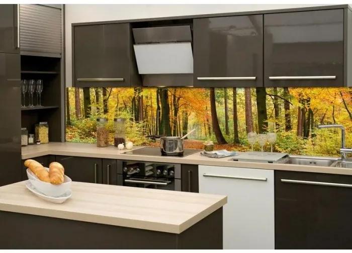 DIMEX | Fototapeta do kuchyně Podzimní les KI-260-045 | 260 x 60 cm | zelená, oranžová, hnědá