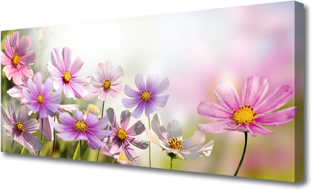 Obraz Canvas Květiny Rostlina Příroda