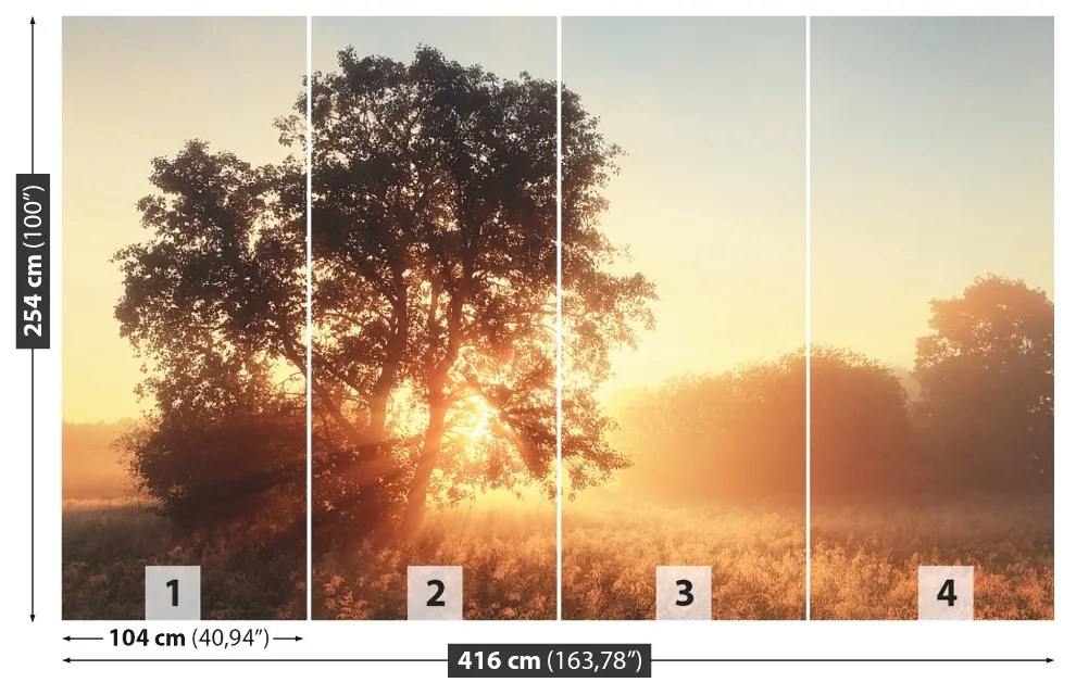 Fototapeta Strom slunce 104x70