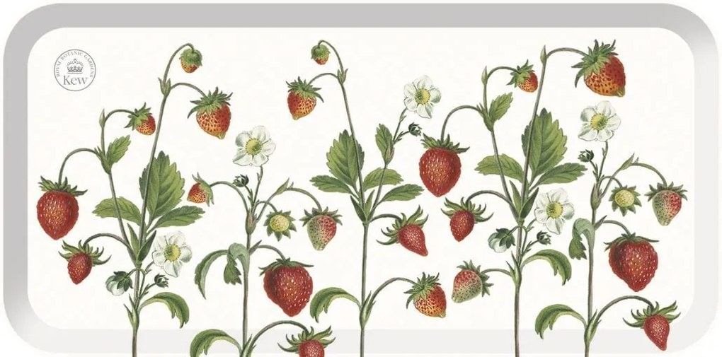 Melaminový tácek Strawberry Fayre velký