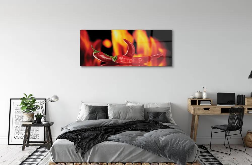 akrylový obraz pikantní papričky 120x60 cm