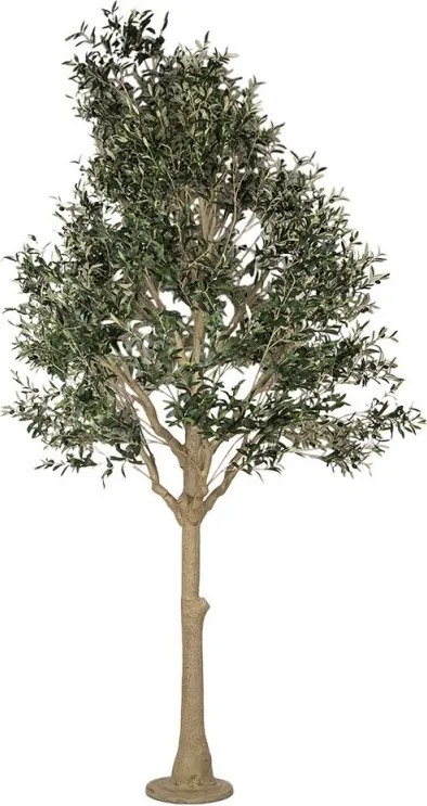 Dekorační strom olivovník s olivami Olea Tree - 170*150*320 cm