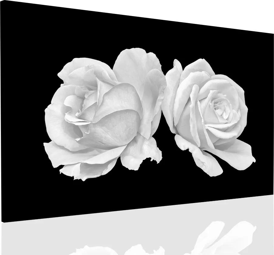 Malvis Malvis Obraz tajemná bílá růže  120x80 cm