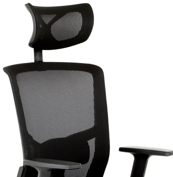 Ergonomická kancelářská židle RELORA - černá síťovina Barva: černá