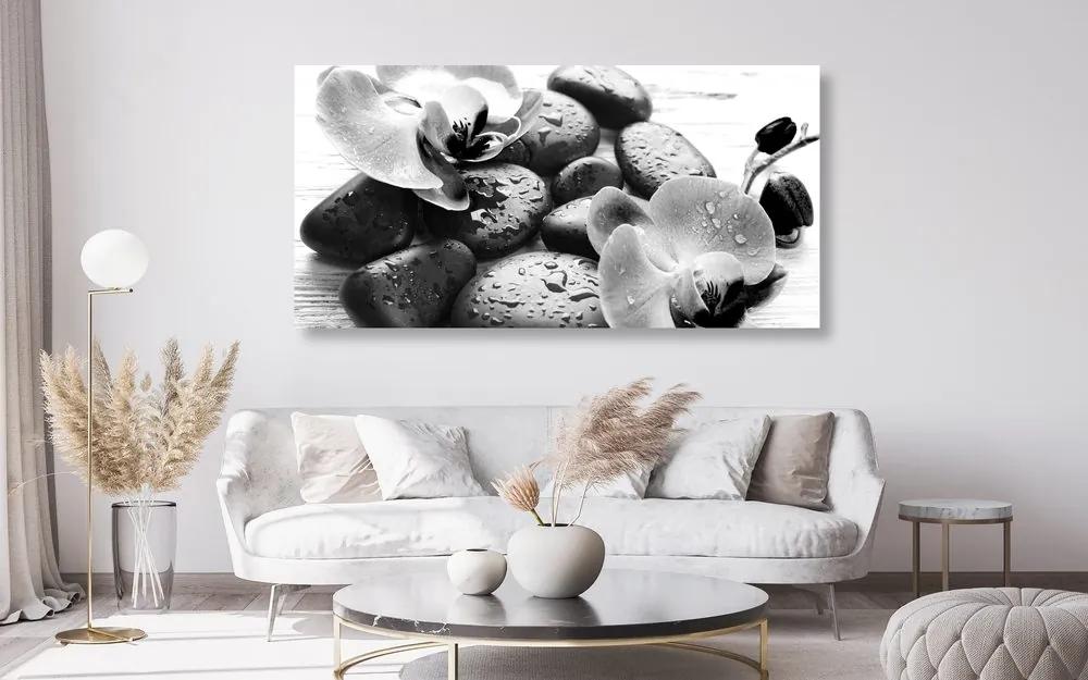 Obraz kouzelná souhra kamenů a orchideje Varianta: 120x60